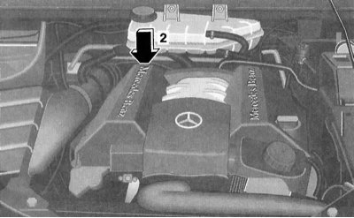 Vehicle Identification Numbers (Mercedes-Benz W163 (GLE-Class) 1997 ...